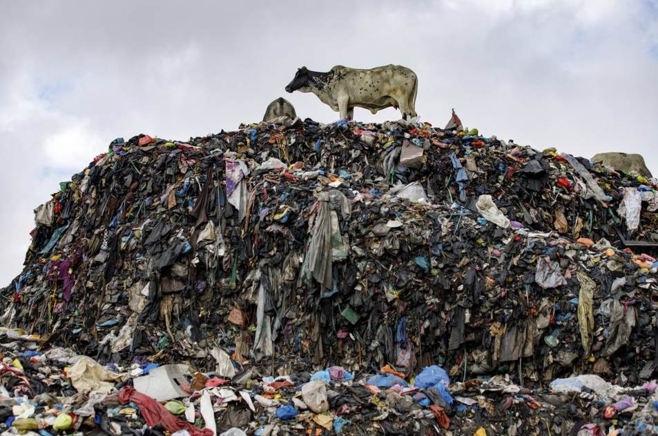 Unwellness Empire: The Politics of Mind, Body, and Earth